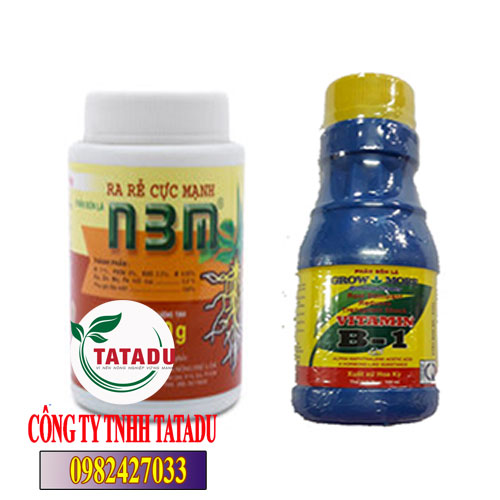 N3M + VITAMIN B1 - BỘ ĐÔI DINH DƯỠNG TUYỆT HẢO CHO CÂY TRỒNG - SIÊU THỊ ...