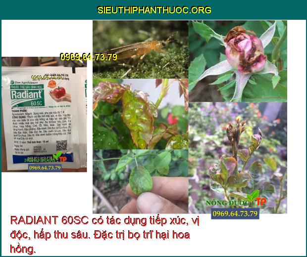 RADIANT 60SC - Đặc Trị Bọ Trĩ - Sâu Xanh Bướm Trắng - Dòi Đục Lá - SIÊU ...