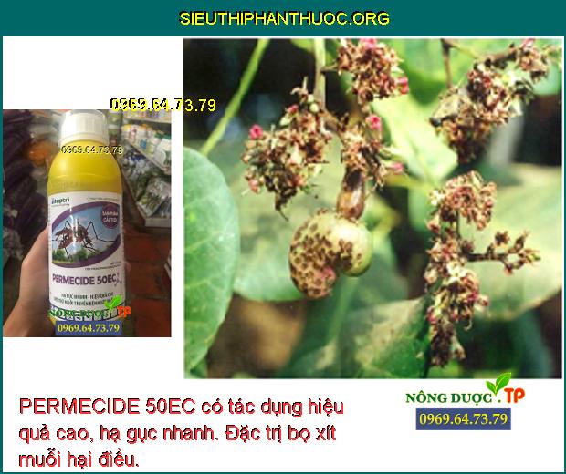 PERMECIDE 50EC - Hạ Gục Nhanh-Diệt Trừ Muỗi Truyền Bệnh Sốt Xuất Huyết ...