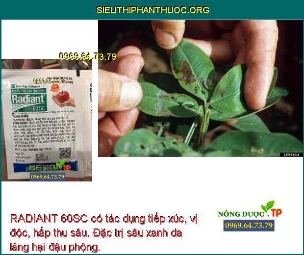 RADIANT 60SC - Đặc Trị Bọ Trĩ - Sâu Xanh Bướm Trắng - Dòi Đục Lá - SIÊU ...