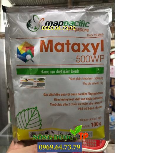 MATAXYL 500WP - THUỐC ĐẶC TRỊ BỆNH CHÁY LÁ, RỈ SẮT, THÁN THƯ TRÊN CÂY ...