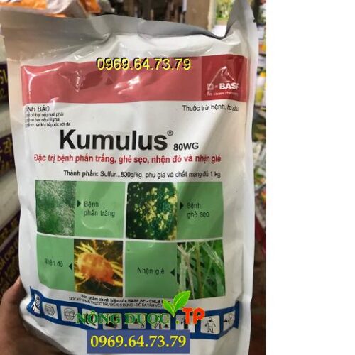 KUMULUS 80WG - Đặc Trị Phấn Trắng Ghẻ Sẹo, Nhện Đỏ, Nhện Gié - SIÊU THỊ ...