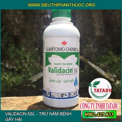 VALIDACIN 5SL - THUỐC TRỪ BỆNH HẠI DO NẤM GÂY RA CHO CÂY TRỒNG - SIÊU ...