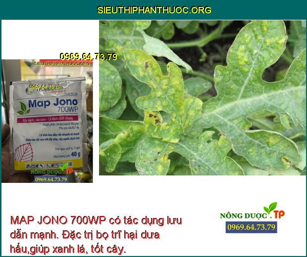 MAP JONO 700WP- Đặc Trị Rầy Nâu, Rầy Xanh, Rệp sáp, Bọ trĩ, Sâu khoang ...