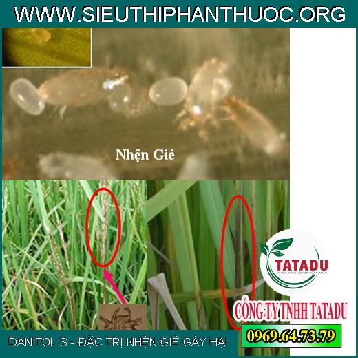 DANITOL S 50EC - Đặc Trị Rầy Nâu- Bọ Trĩ- Nhện Gié- Sâu Đục Quả- Rệp ...