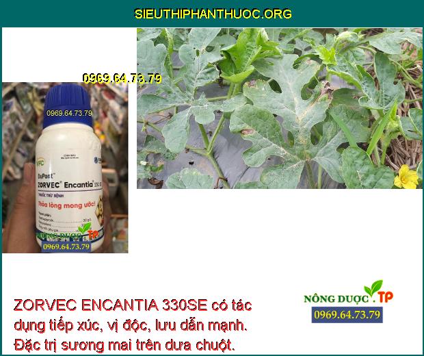 ZORVEC ENCANTIA 330SE - Đặc Trị Nấm Và Sương Mai Do Vi Khuẩn Gây Hại ...