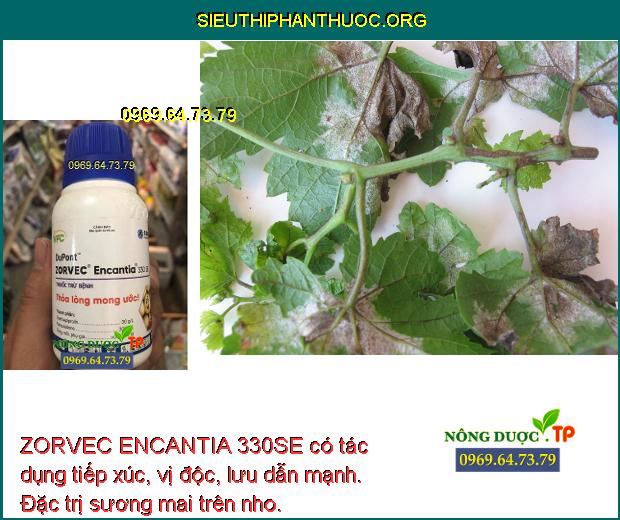 ZORVEC ENCANTIA 330SE - Đặc Trị Nấm Và Sương Mai Do Vi Khuẩn Gây Hại ...