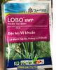 LOBO 8WP -Đặc Trị Vi Khuẩn - Lá Mướt Hạt No - Không Lo Vi Khuẩn - SIÊU ...