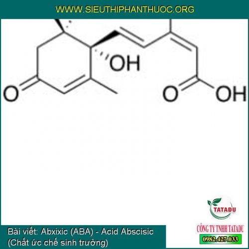 Cùng tìm hiểu về Abxixic (ABA) - Acid Abscisic (Chất ức chế sinh trưởng ...