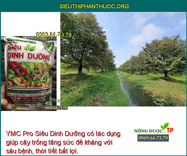 Phân bón vi lượng YMC Pro Siêu Dinh Dưỡng - Ra Rễ Cực Mạnh - SIÊU THỊ ...