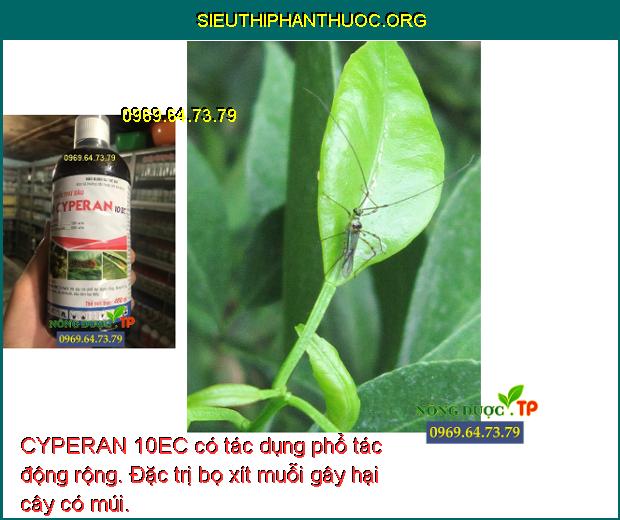 CYPERAN 10EC -THUỐC ĐẶC TRỊ BỌ XÍT MUỖI, SÂU CUỐN LÁ HẠI LÚA, SÂU RÓM ...