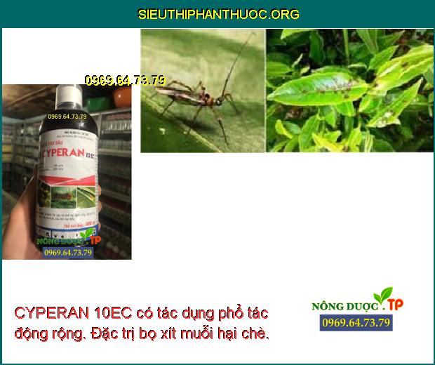 CYPERAN 10EC -THUỐC ĐẶC TRỊ BỌ XÍT MUỖI, SÂU CUỐN LÁ HẠI LÚA, SÂU RÓM ...