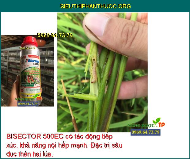THUỐC TRỪ SÂU BISECTOR 500EC - PHÒNG TRỪ RÂY NÂU HẠI LÚA, RỆP SÁP HẠI ...