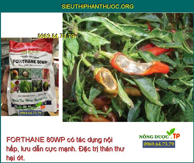 THUỐC TRỪ NẤM BỆNH FORTHANE 80WP - ĐẶC TRỊ BỆNH ĐẠO ÔN, THÁN THƯ HẠI ...
