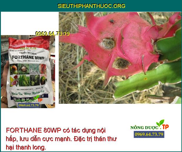 THUỐC TRỪ NẤM BỆNH FORTHANE 80WP - ĐẶC TRỊ BỆNH ĐẠO ÔN, THÁN THƯ HẠI ...