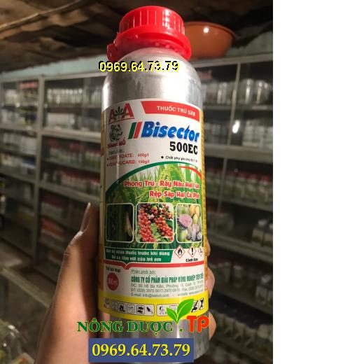 THUỐC TRỪ SÂU BISECTOR 500EC - PHÒNG TRỪ RÂY NÂU HẠI LÚA, RỆP SÁP HẠI ...