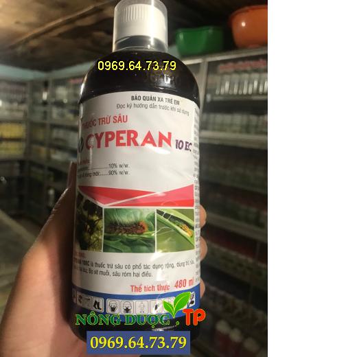 CYPERAN 10EC -THUỐC ĐẶC TRỊ BỌ XÍT MUỖI, SÂU CUỐN LÁ HẠI LÚA, SÂU RÓM ...