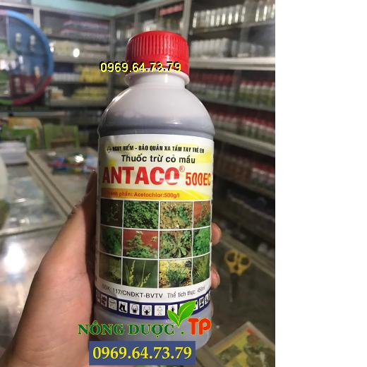 ANTACO 500EC - Thuốc Trừ Cỏ lá Rộng Và Lá Hẹp Trên Ngô, lạc, Mía, Hành ...