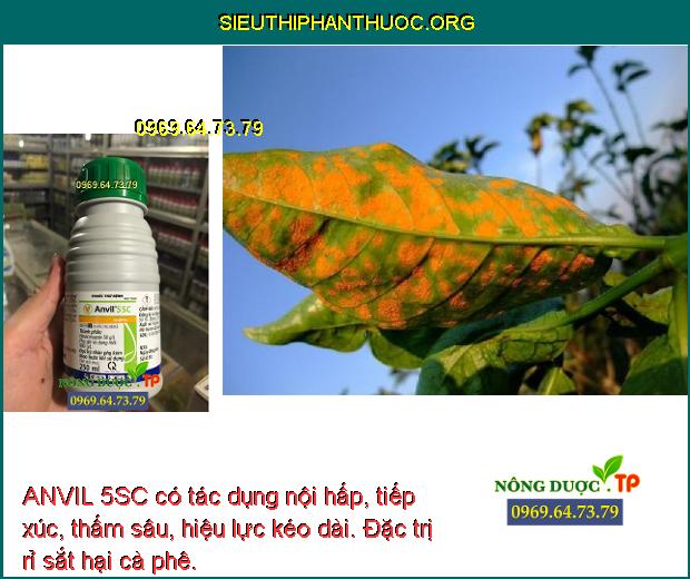 ANVIL 5SC – Thuốc Đặc Trị Bệnh Nấm Hồng, Phấn Trắng, Lở Cổ Rễ - SIÊU ...