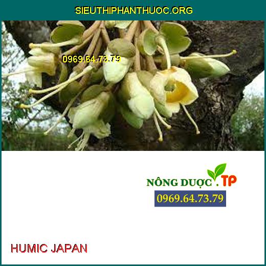 PHÂN BÓN LÁ HUMIC JAPAN - DINH DƯỠNG TỐT NHẤT CHO CÂY TRỒNG - SIÊU THỊ ...