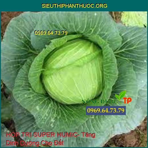 HOP TRI SUPER HUMIC- Tăng Dinh Dưỡng Cho Đất, Ra Rễ Mạnh, Tốt Rễ - SIÊU ...