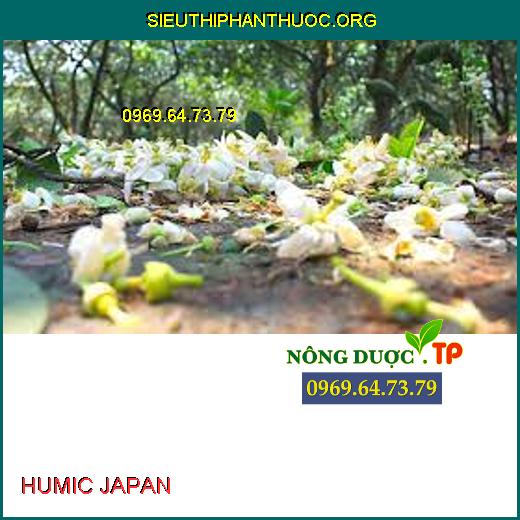 PHÂN BÓN LÁ HUMIC JAPAN - DINH DƯỠNG TỐT NHẤT CHO CÂY TRỒNG - SIÊU THỊ ...