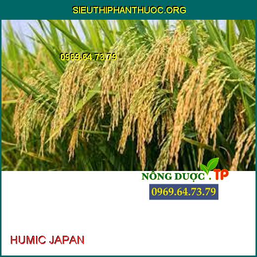 PHÂN BÓN LÁ HUMIC JAPAN - DINH DƯỠNG TỐT NHẤT CHO CÂY TRỒNG - SIÊU THỊ ...