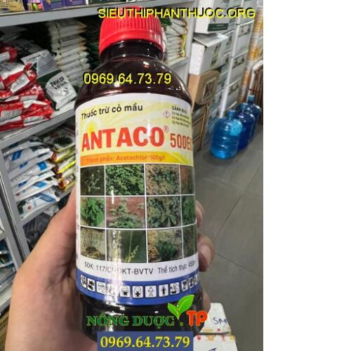 ANTACO 500EC - Thuốc Trừ Cỏ lá Rộng Và Lá Hẹp Trên Ngô, lạc, Mía, Hành ...