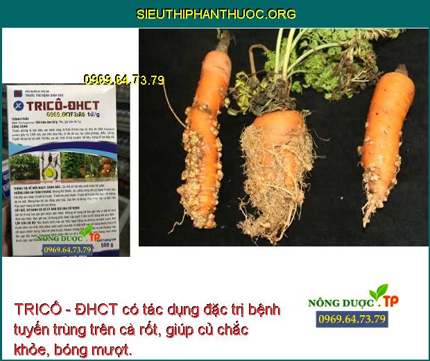 THUỐC TRỪ BÊNH SINH HỌC TRICÔ - ĐHCT ĐẶC TRỊ BỆNH VÀNG LÁ , THỐI RỄ DO ...