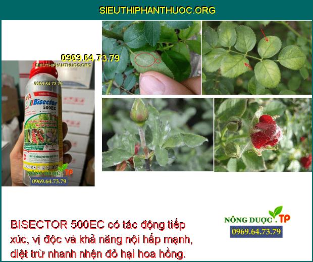 BISECTOR 500EC - THUỐC ĐẶC TRỊ RẦY NÂU HẠI LÚA, RỆP SÁP HẠI CÀ PHÊ ...