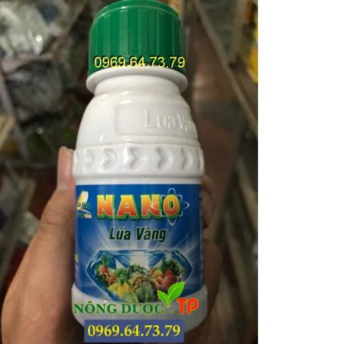 NANO LÚA VÀNG - Hấp Thụ Phân Tốt- Giúp Lúa Chắc Hạt- Lúa Vào Gạo Nhanh ...