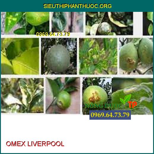 OMEX LIVERPOOL - Chống Rụng Hoa Trái Non, Tăng Đậu Trái, Chắc Hạt ...