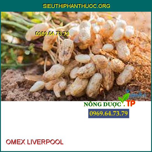 OMEX LIVERPOOL - Chống Rụng Hoa Trái Non, Tăng Đậu Trái, Chắc Hạt ...