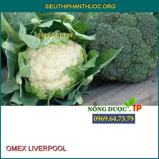 OMEX LIVERPOOL - Chống Rụng Hoa Trái Non, Tăng Đậu Trái, Chắc Hạt ...