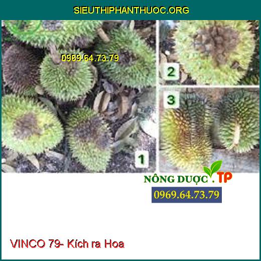 VINCO 79- Kích ra Hoa, Tăng Khả Năng Đậu Trái, Chống Rụng Trái - SIÊU ...