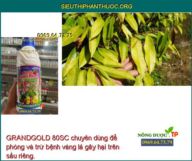 GRANDGOLD 80SC SẠCH NẤM BỆNH- Thuốc Trị Thán Thư, Ghẻ Sẹo, Xì Mủ, Cháy ...
