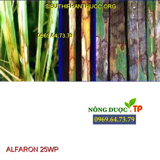ALFARON 25WP - Trừ Nấm Bệnh, Bệnh Khô Vằn, Chết Rạp Cây Con - SIÊU THỊ ...