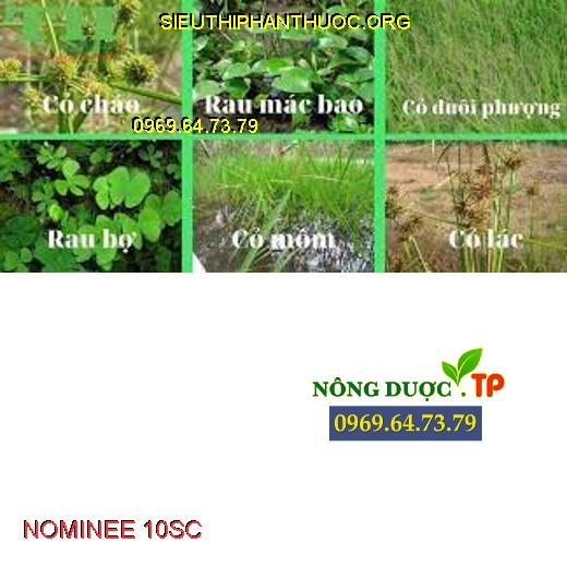 NOMINEE 10SC-Thuốc Đặc Trị Cỏ Hòa Bản, Cỏ Lác, Cỏ Lá Rộng Trên Ruộng ...