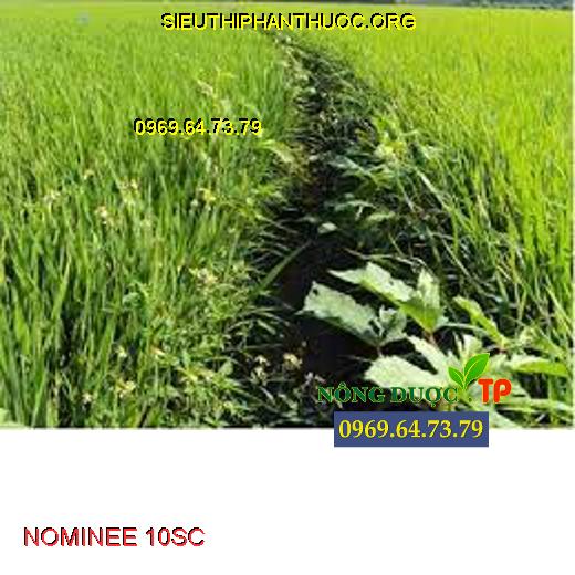 NOMINEE 10SC-Thuốc Đặc Trị Cỏ Hòa Bản, Cỏ Lác, Cỏ Lá Rộng Trên Ruộng ...