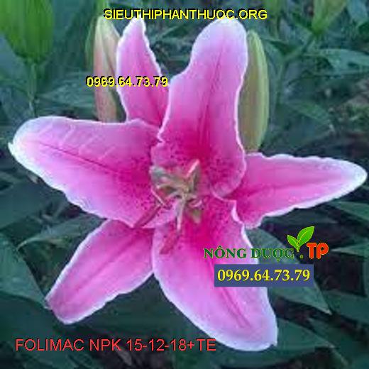 FOLIMAC NPK 15-12-18+TE - Giúp Cây Mập Chắc Khỏe - Tăng Độ Ngọt Trái ...