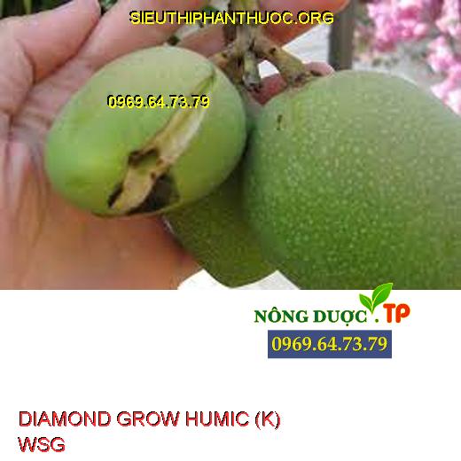 DIAMOND GROW HUMIC (K) WSG - Kích Rễ Cực Mạnh -Đâm Chồi Cực Tốt - SIÊU ...