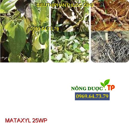 MATAXYL 25WP - Thuốc đặc trị nấm bệnh, lưu dẫn 2 chiều rất hiệu quả ...