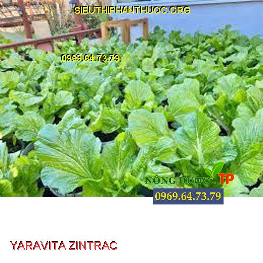 YARAVITA ZINTRAC -Thúc Đẩy Sinh Trưởng-Tăng Nẩy Chồi-Tăng Kích Thước Lá ...