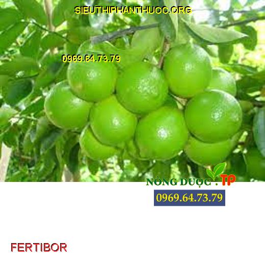 FERTIBOR - Tăng Sức Sống Hạt Phấn, Cuống Trái To, Cứng Chắc - SIÊU THỊ ...