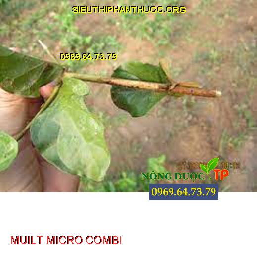 HAIFA MUILT-MICRO COMBI -Ngăn Ngừa Cháy Lá-Vàng Lá-Cây Bị Stress - SIÊU ...