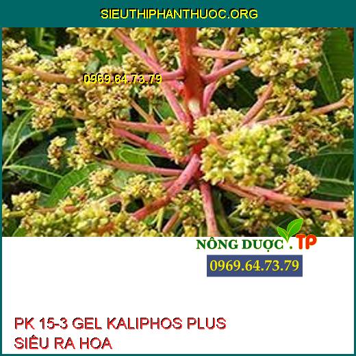 PK 15-3 GEL KALIPHOS PLUS SIÊU RA HOA- Bung Hoa Đồng Loạt, Mập Bông ...