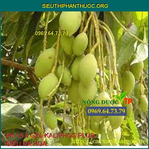PK 15-3 GEL KALIPHOS PLUS SIÊU RA HOA- Bung Hoa Đồng Loạt, Mập Bông ...