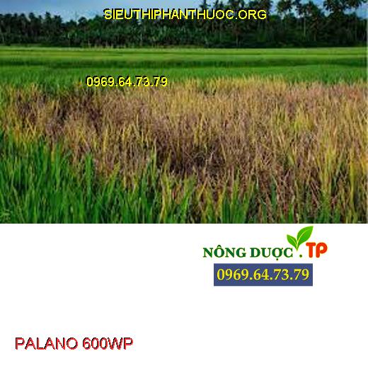 PALANO 600WP - Đặc Trị Rầy Nâu, Rầy Xanh, Lưu Dẫn Mạnh - Hạ Gục Nhanh ...