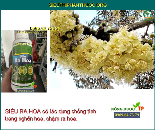 SIÊU RA HOA- Tạo Mầm Hoa, Chống Rụng Hoa, Trái Non - SIÊU THỊ PHÂN THUỐC