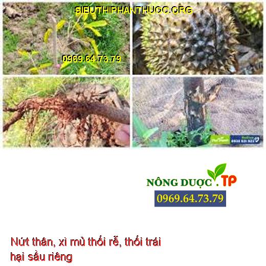 ALFAMIL 35WP- Đặc Trị Hồ Tiêu Chết Nhanh - SIÊU THỊ PHÂN THUỐC